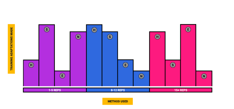 Should You Do High Reps Or Low Reps To Build Muscle? • Russ Howe PTI