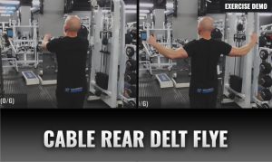 Rear Delts Exercises • Russ Howe PTI
